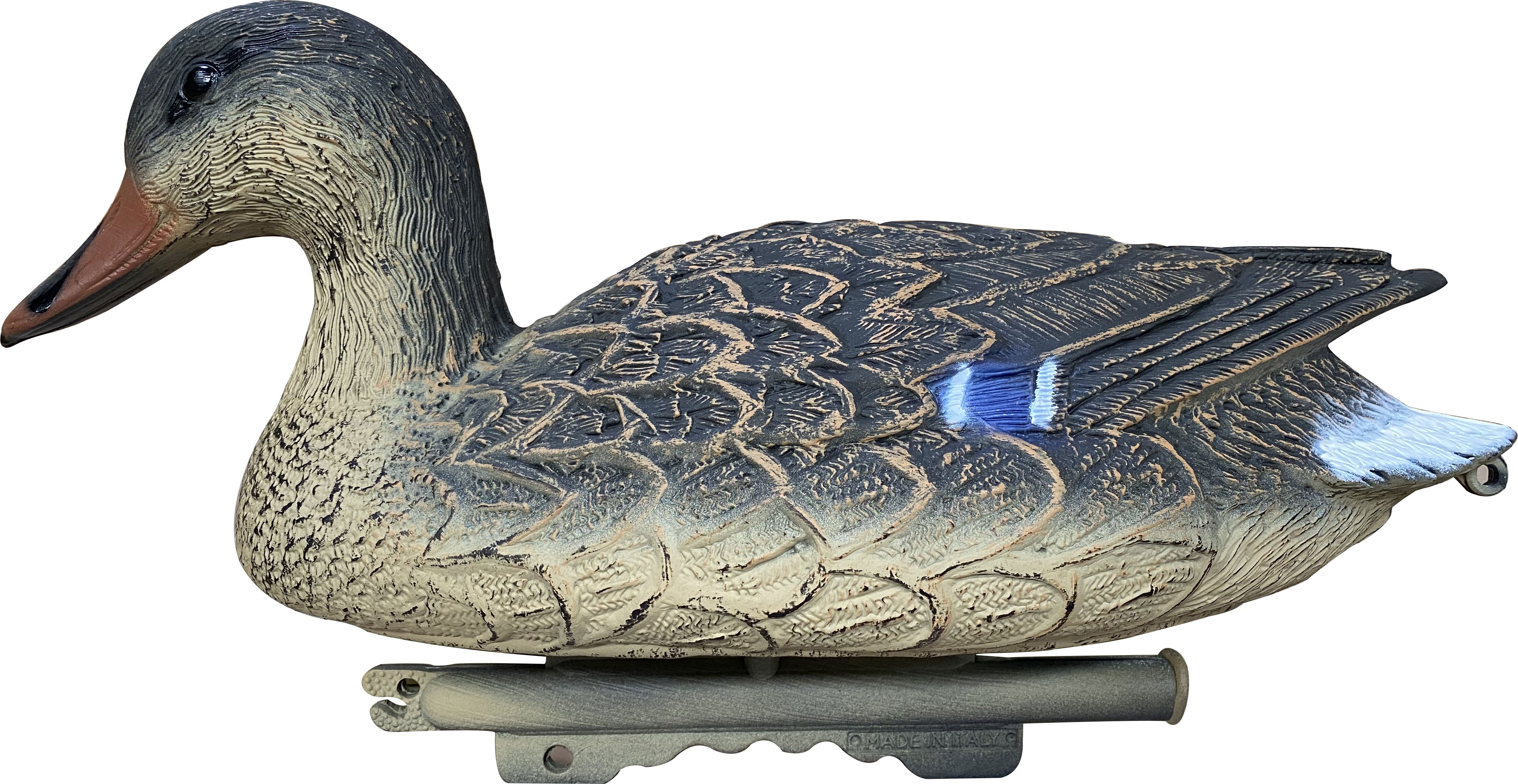 Pack 10 blettes double face colverts HD SPORTPLAST - 20435