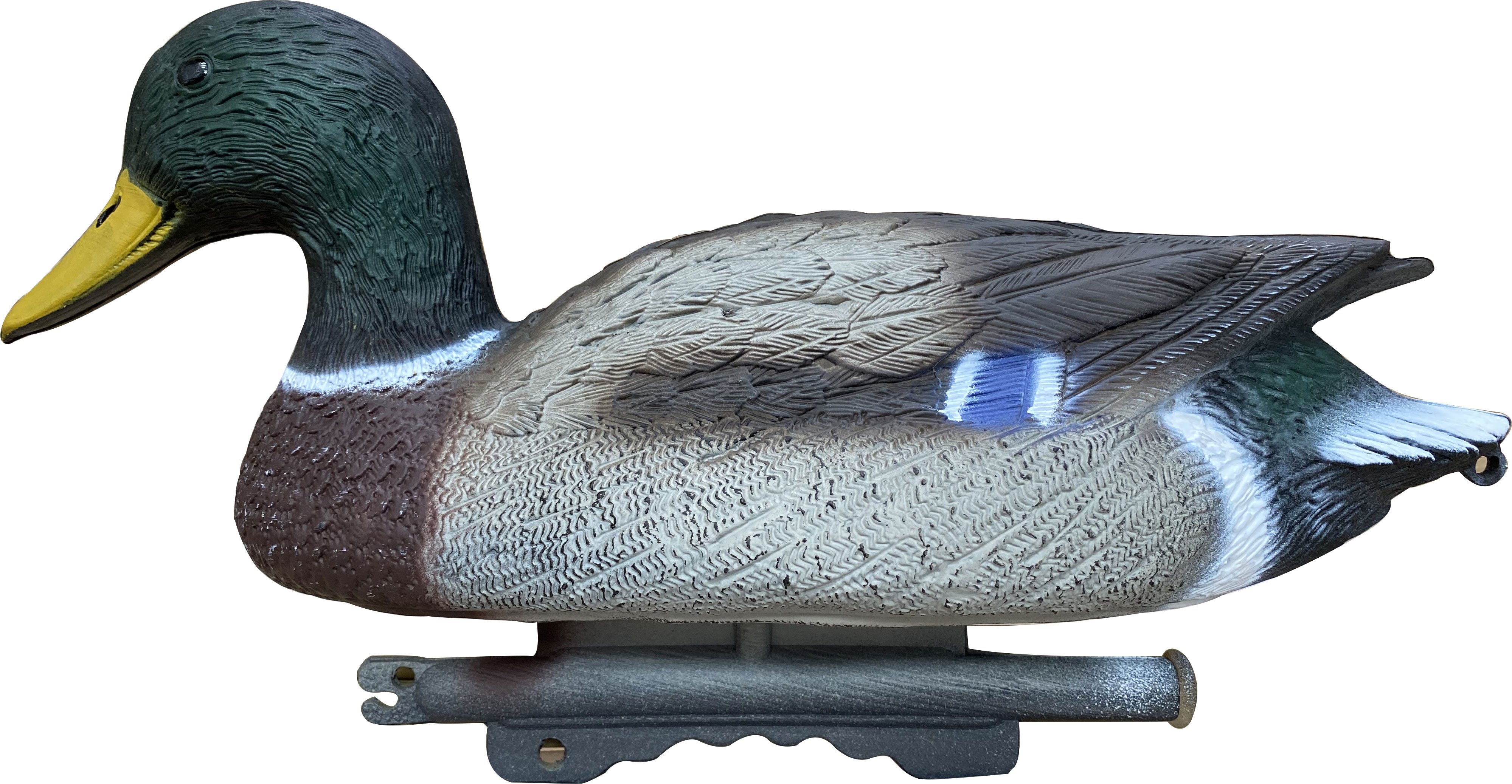 Pack 10 blettes double face colverts HD SPORTPLAST - 20435