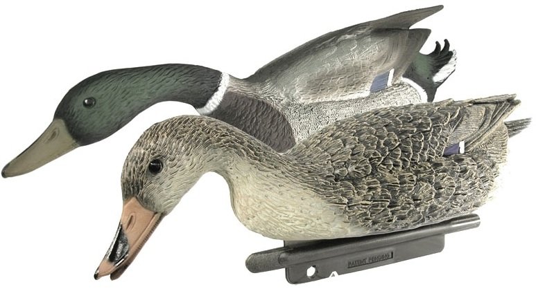 Formes couple colvert mangeur HD SPORTPLAST - 26132