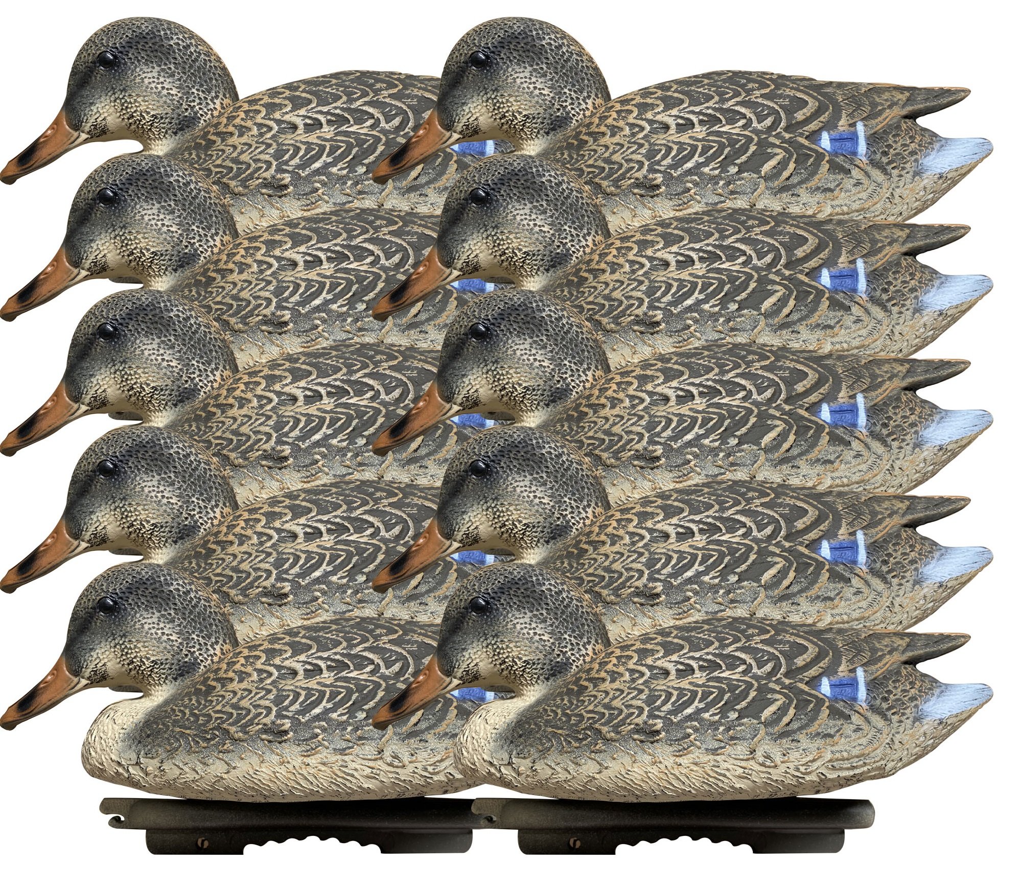 Pack 10 blettes de canes colverts Sportplast - 20433