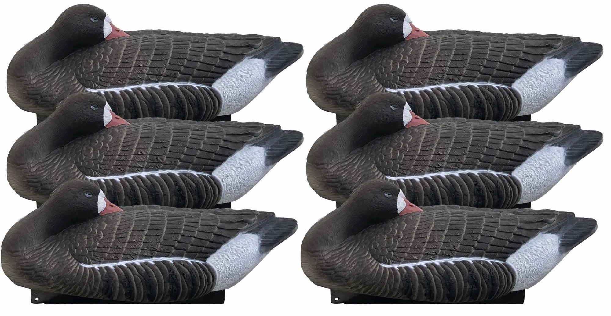 Pack 6 appelants oies rieuses dormeuses HD - 11117