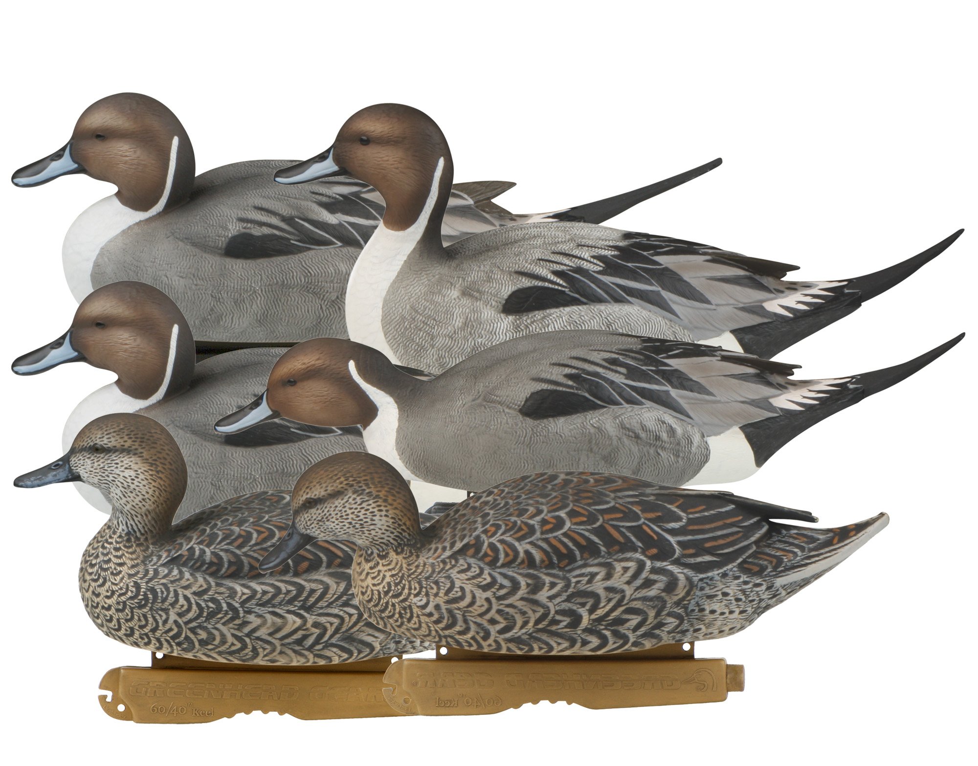 Pack 6 blettes canards pilets HD GHG - 12625
