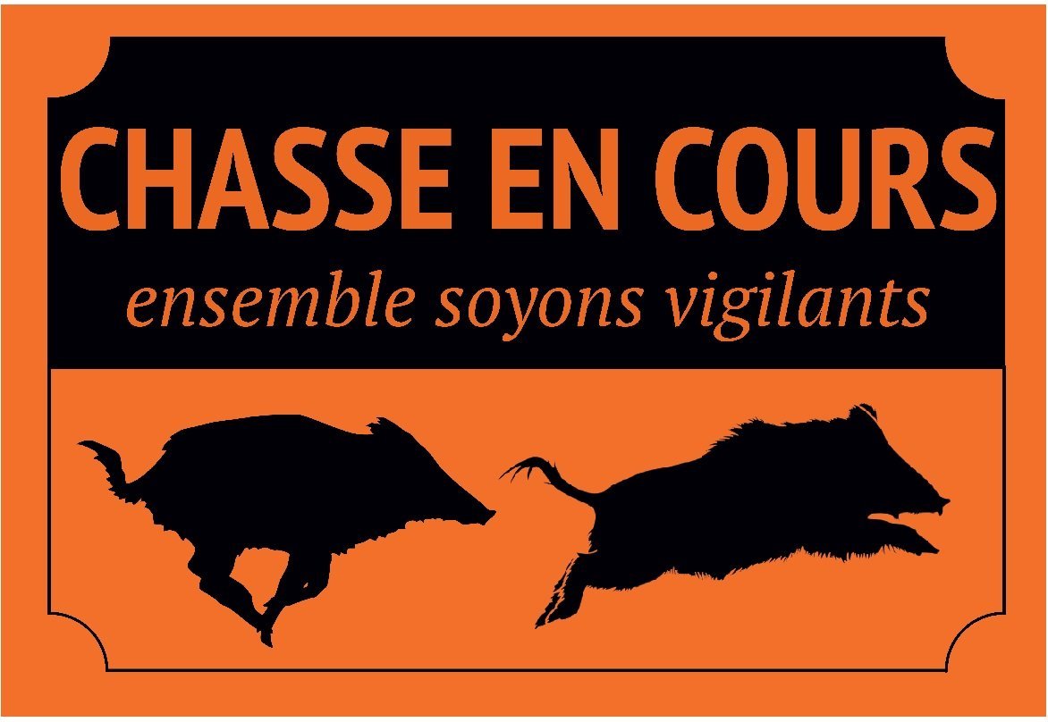 Panneau de signalisation chasse en cours Xtrem Wildboar 60x... - 31583