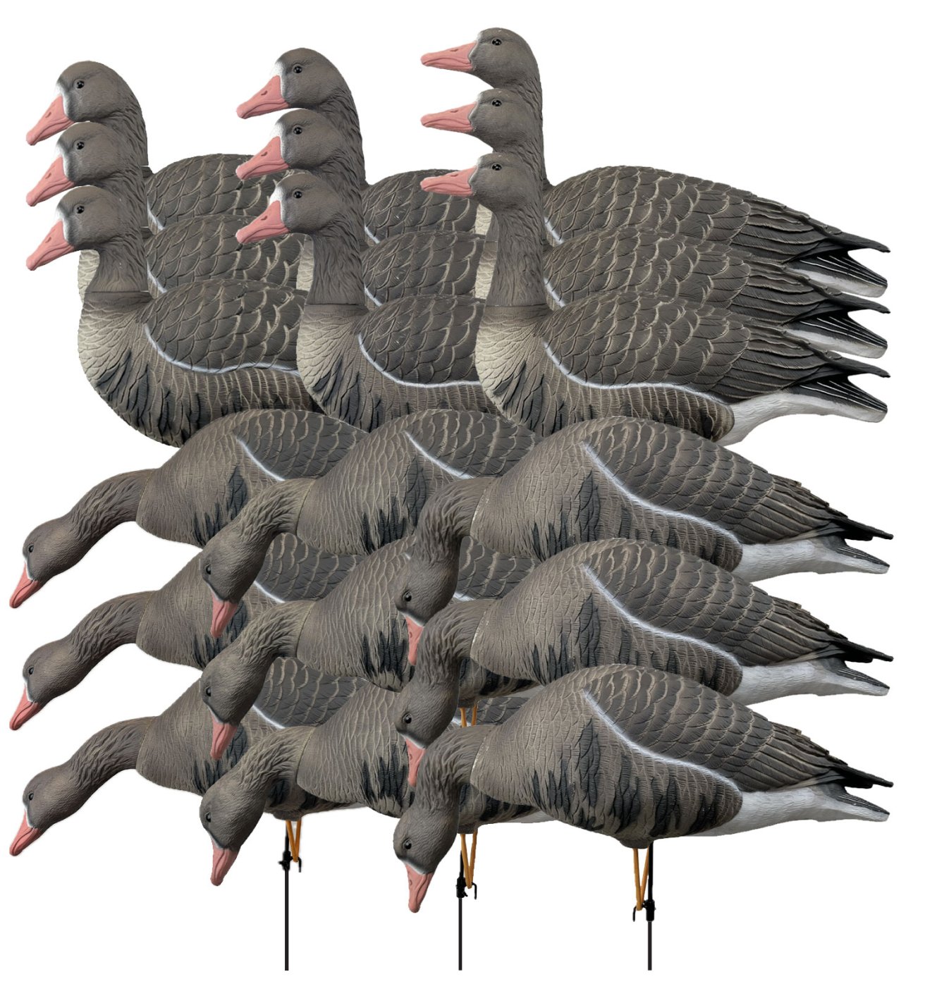 Pack 18 appelants oies rieuses à pattes full HD XTREM MIGRA... - 26180