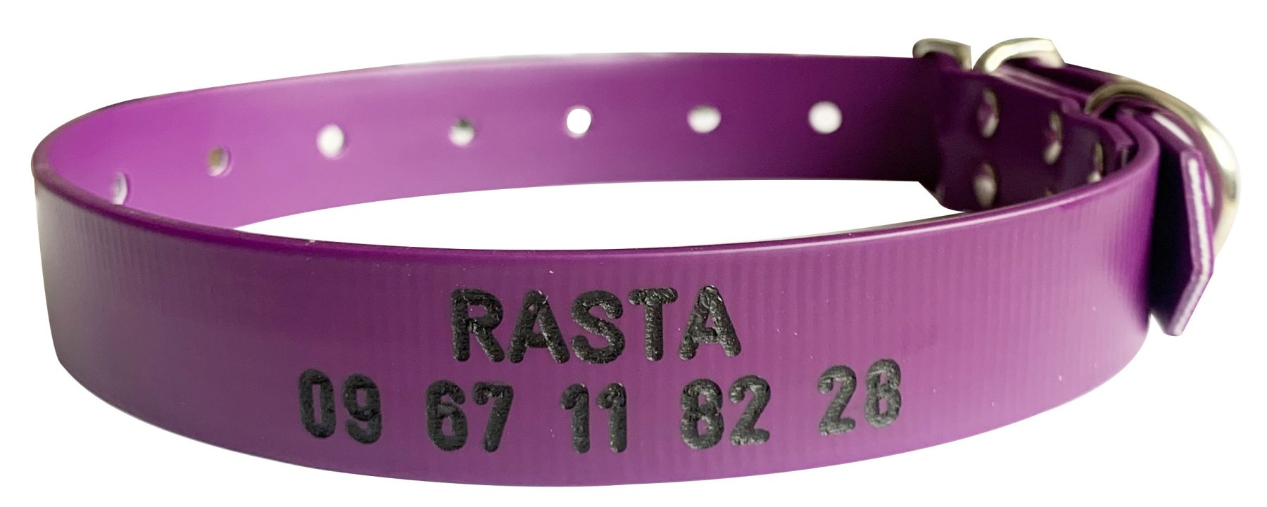 Collier chien en PVC gravé violet - 19306